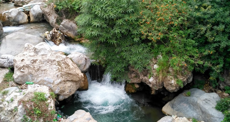 Bhatta Fall Mussoorie (Timings, Entry Fee, Images, Best time to visit ...