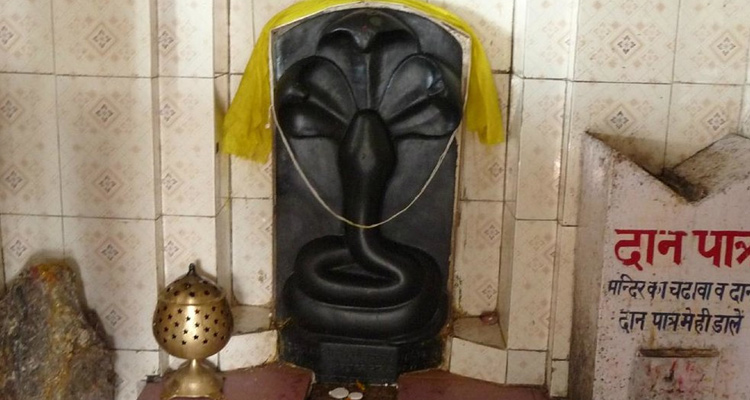 Nag Devta Temple Mussoorie (Timings, History, Entry Fee, Images, Aarti ...